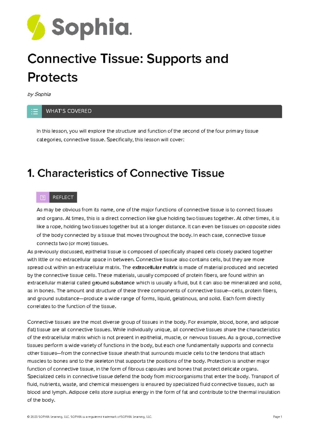 Connective Tissue: Characteristics, Classification & Functions (AP2 ...