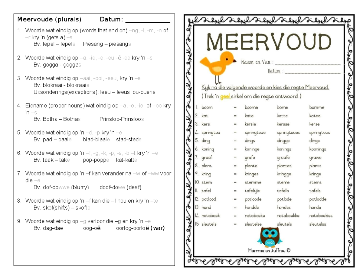 Afrikaans Meervoude (Plurals) - Grade 4 Language Summary - Studocu