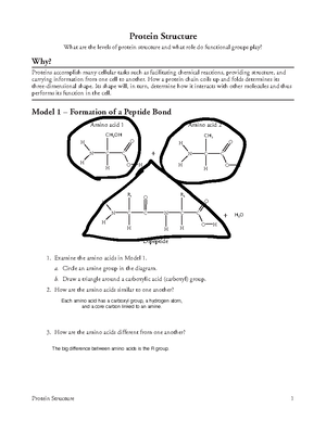 BIO 181 - ASU - General Biology I - Studocu