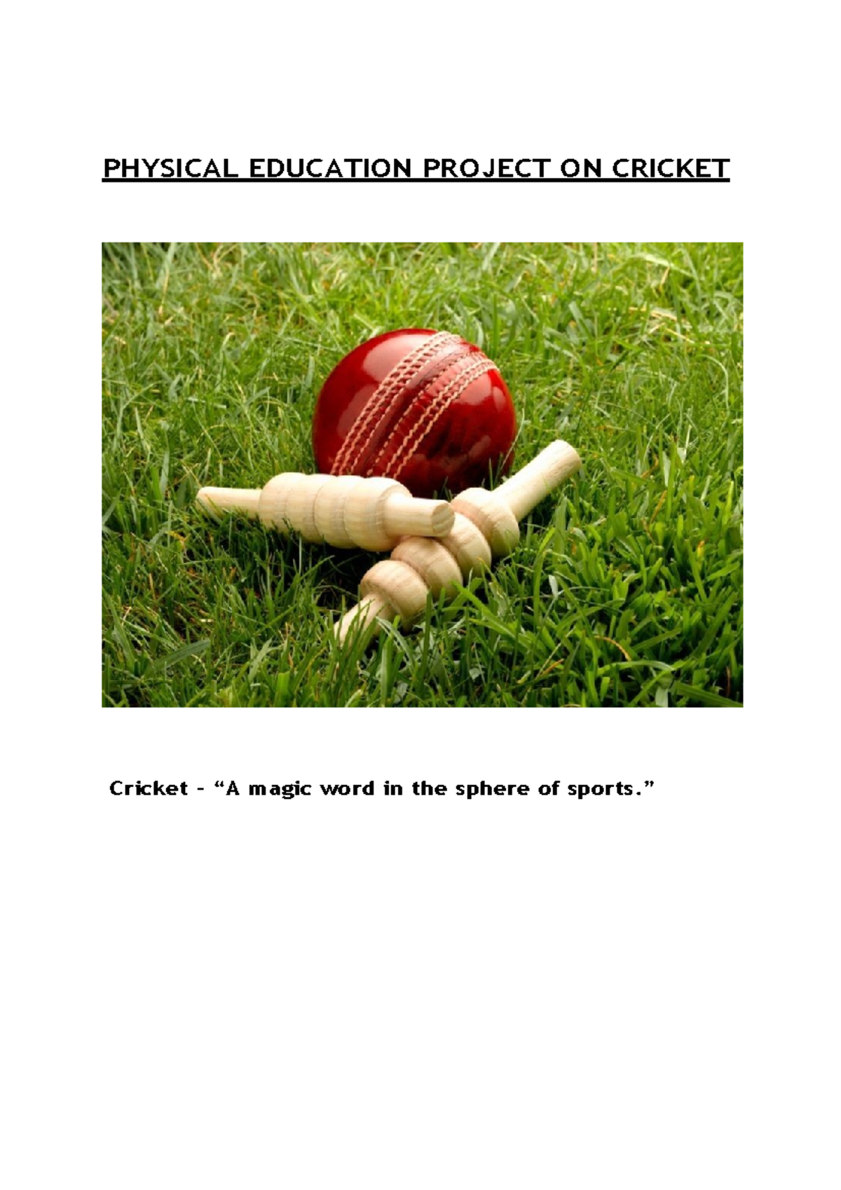 Cricket Project for Physical Education: Overview and Insights - Studocu