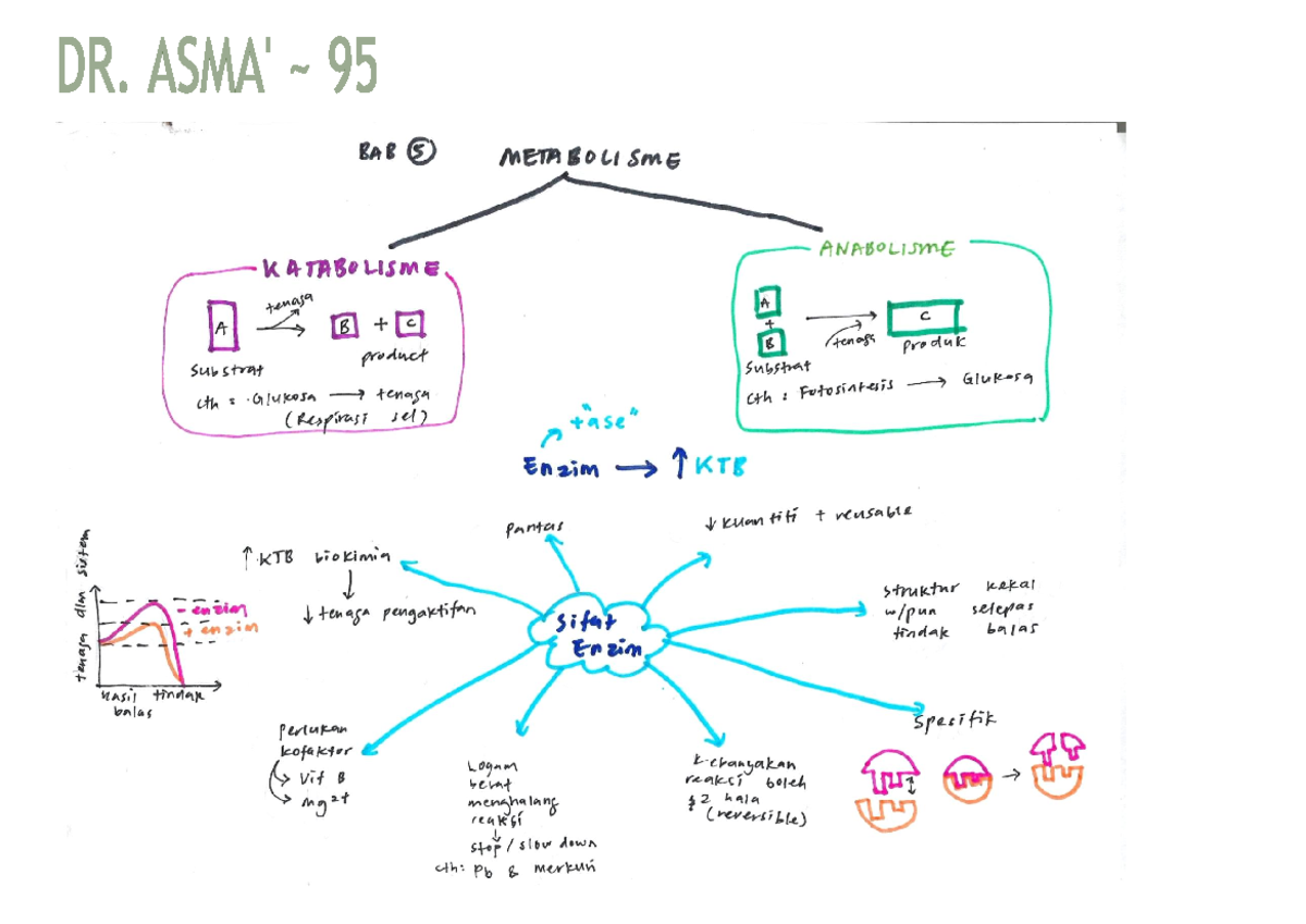 BIO F4 KSSM BAB 5 - Metabolisme Anabolisme & Katabolisme - Studocu