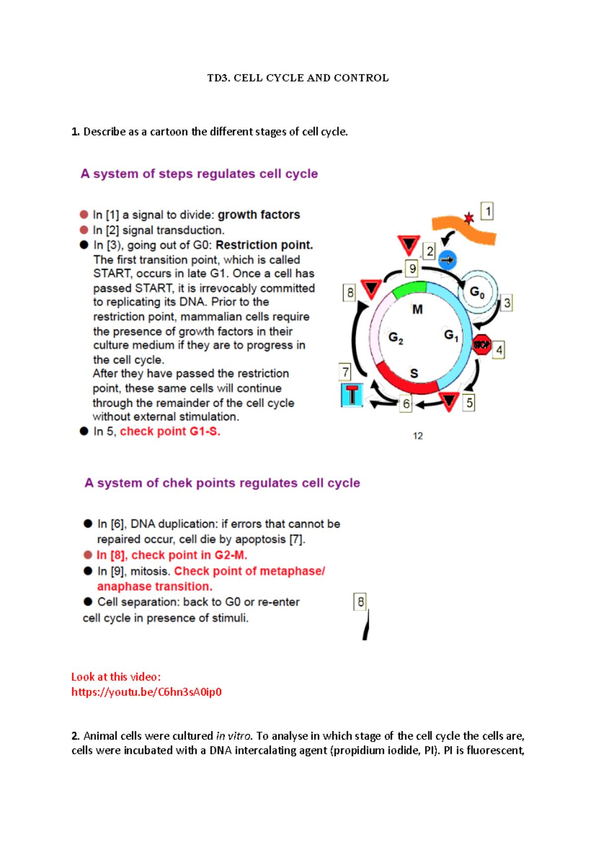 Travaux Dirigés 3 corrigé - TD3. CELL CYCLE AND CONTROL Describe as a ...