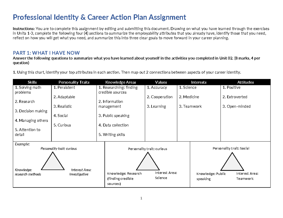 Career Action Plan Assignment: Professional Identity Development - Studocu