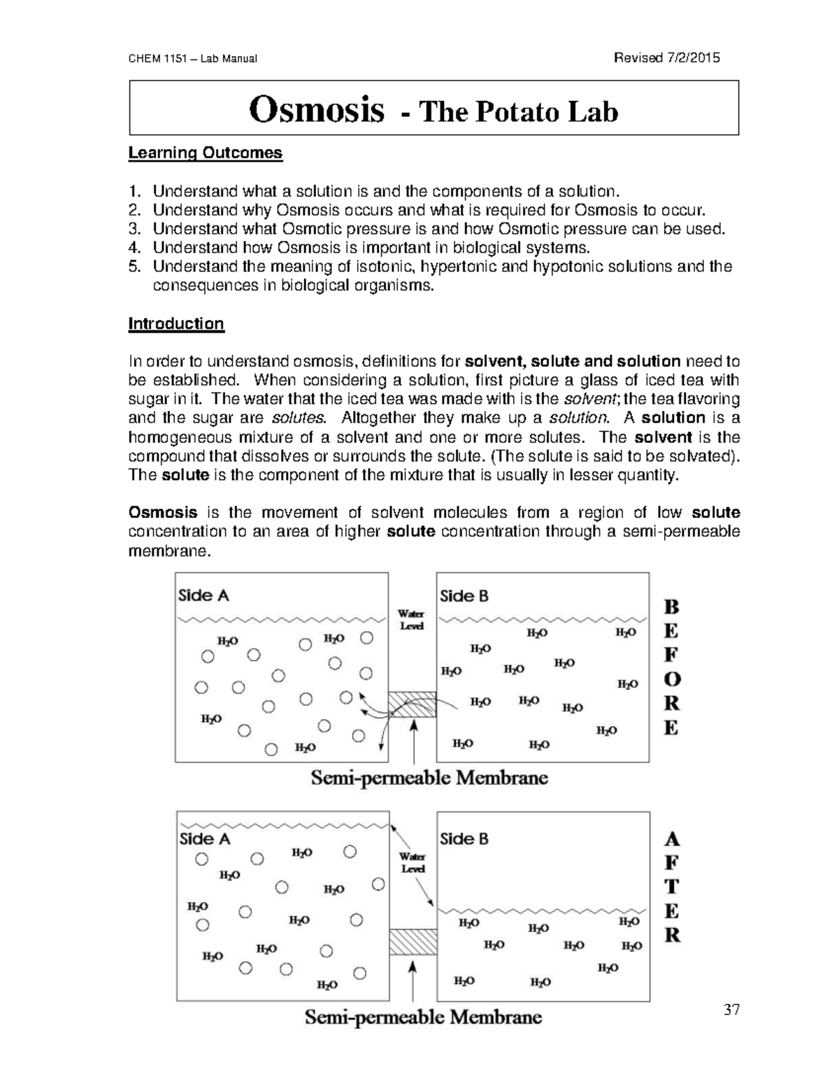 CHEM 1151 Lab Manual: Osmosis Experiment with Potato Disks - Studocu