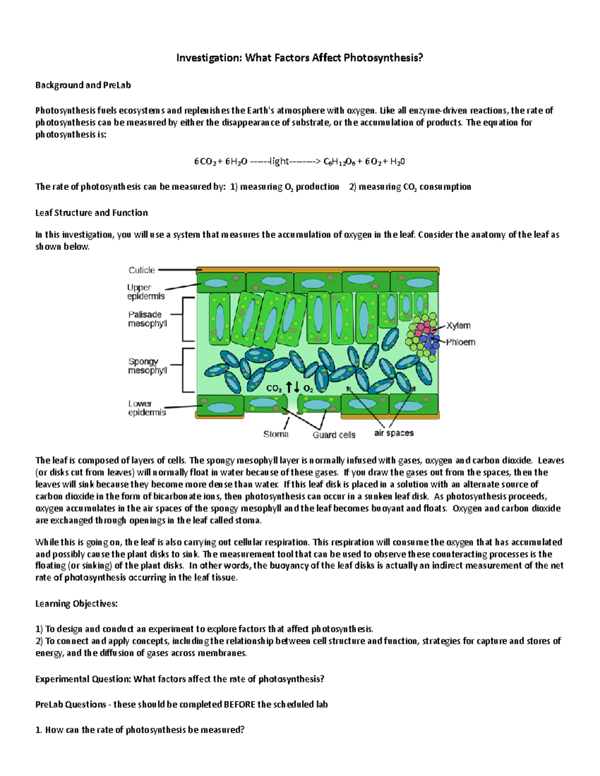 Photosynthesis Investigation What Factors Affect Photosynthesis ...
