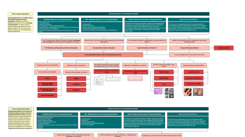 PATHOPHYSIOLOGY OF HYPOPARATHYROIDISM & HYPERPARATHYROIDISM (BIO 202 ...