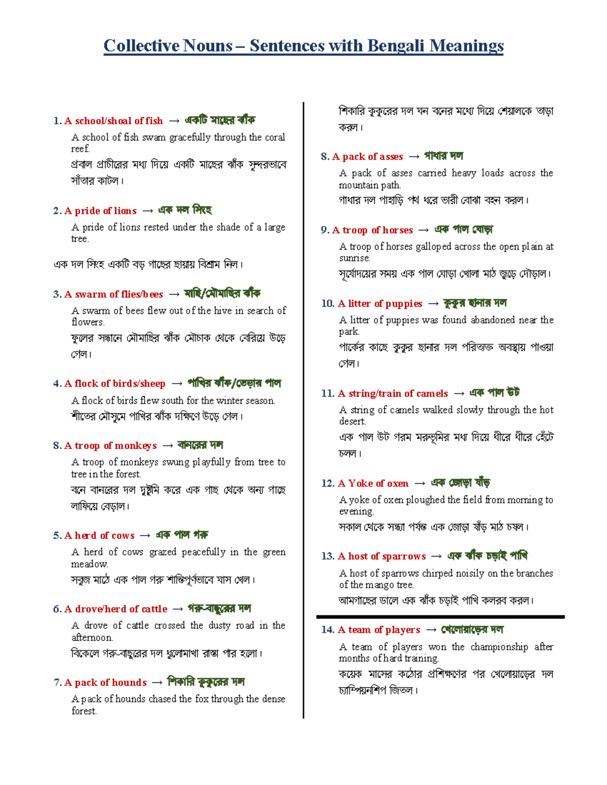 Collective Nouns with Bengali Meanings and Examples - Studocu
