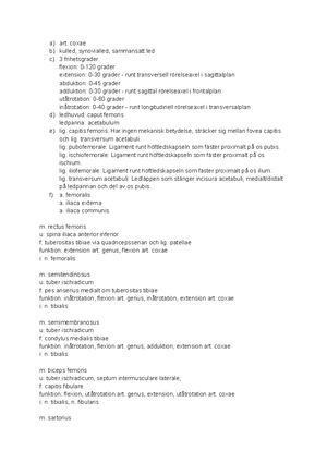 Anatomi II - Alla muskler, leder och skelettdelar - Anatomi II Nedre ...