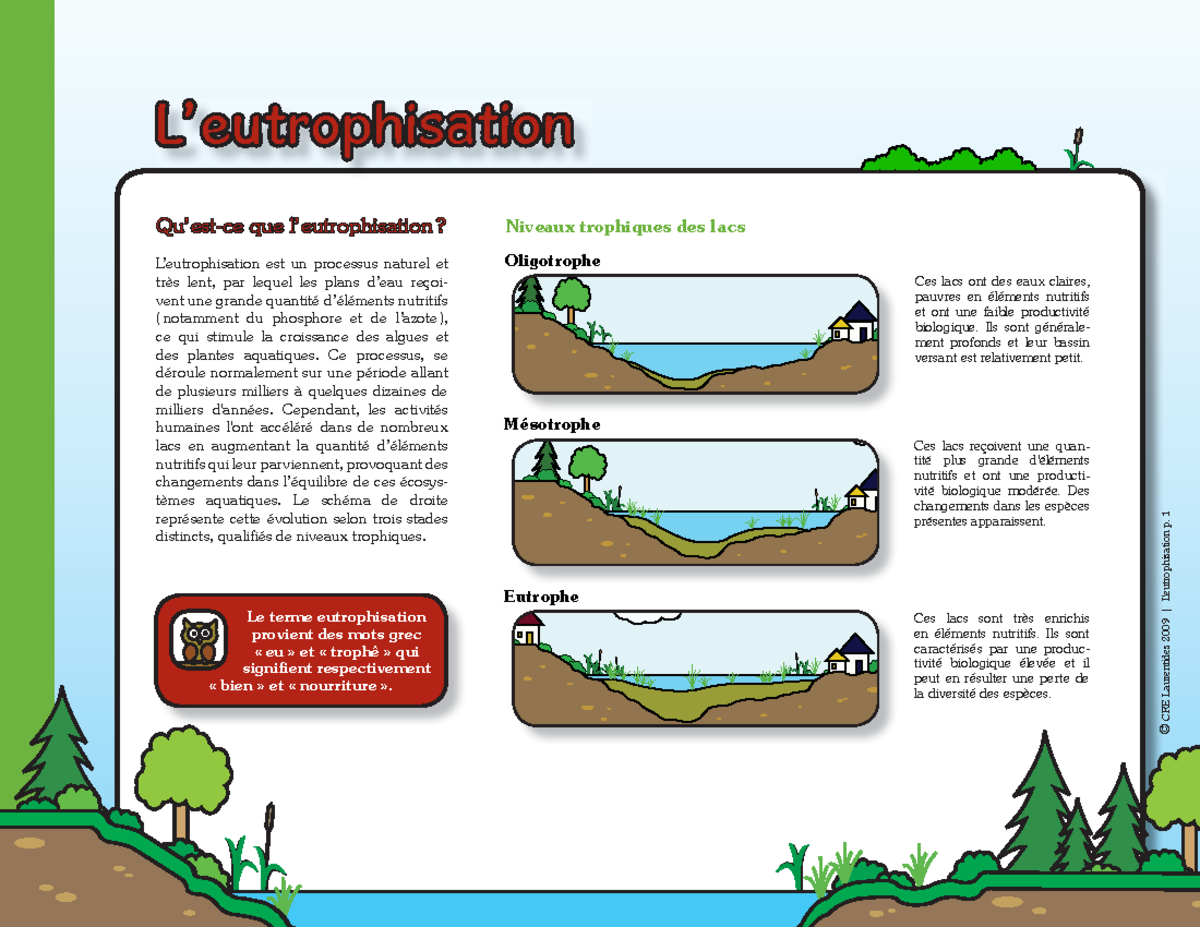 Comprendre l’Eutrophisation: Processus et Impacts sur les Lacs - Studocu