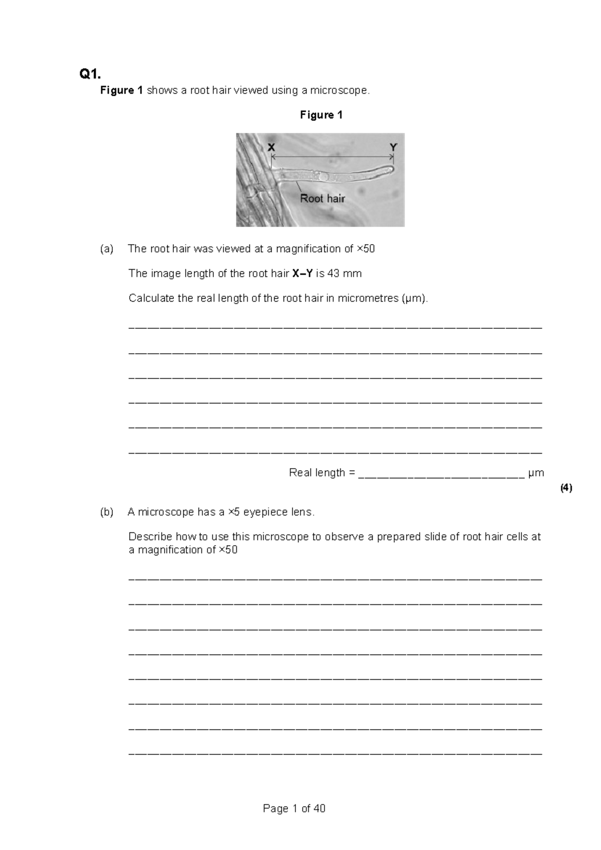 GCSE Biology Revision Qs - Root Hair, Electrolysis, and Photosynthesis ...