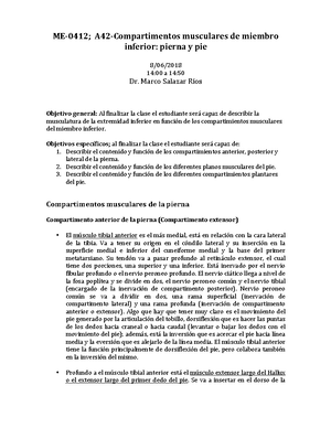 A34 - Compartimentos musculares del brazo y antebrazo - Dr. Daniel ...