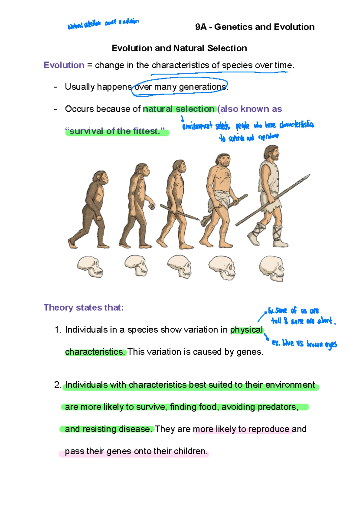 2022 Stage 8 Science Progression Test Paper 2 Mark Scheme MS - Studocu