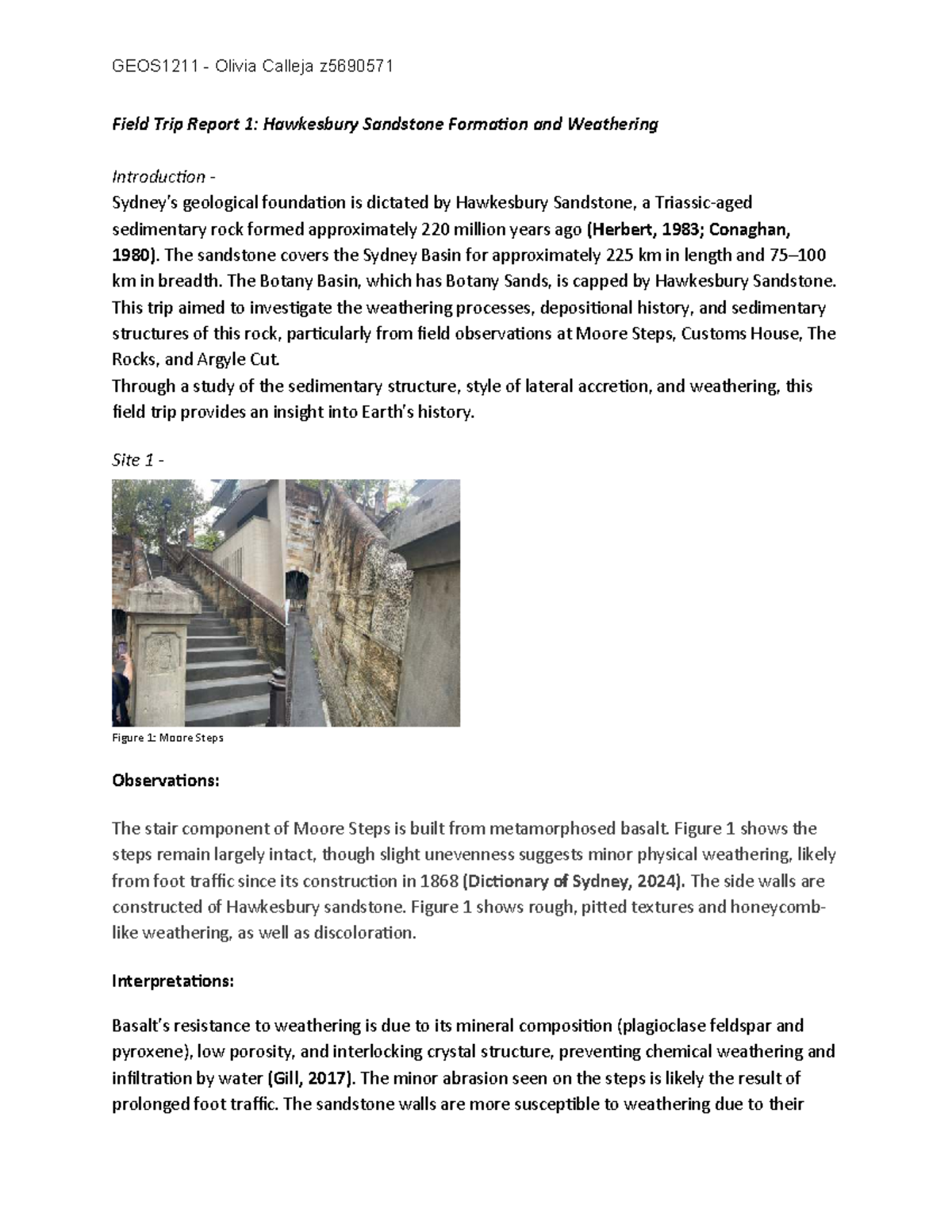 GEOS1211 Field Trip Report 1: Hawkesbury Sandstone Weathering Analysis ...