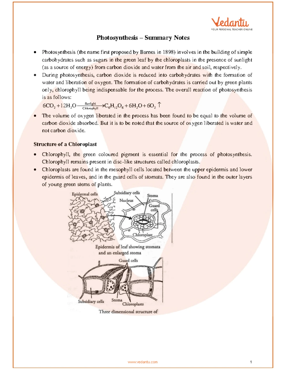 Class 10 Biology Chapter 4 Revision Notes - Absorption by Roots ...
