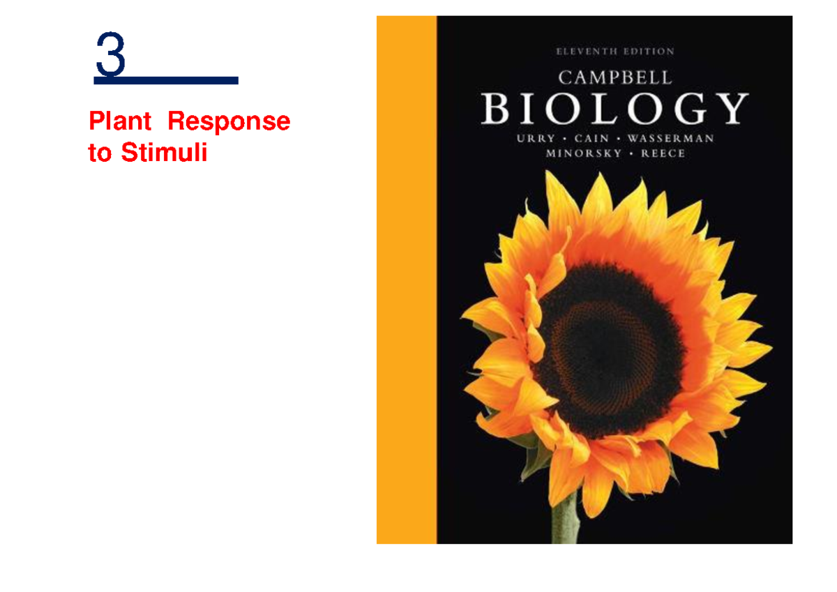 Chapter 3. Plant Response to Stimuli-goi sinh vien - 3 Plant Response ...