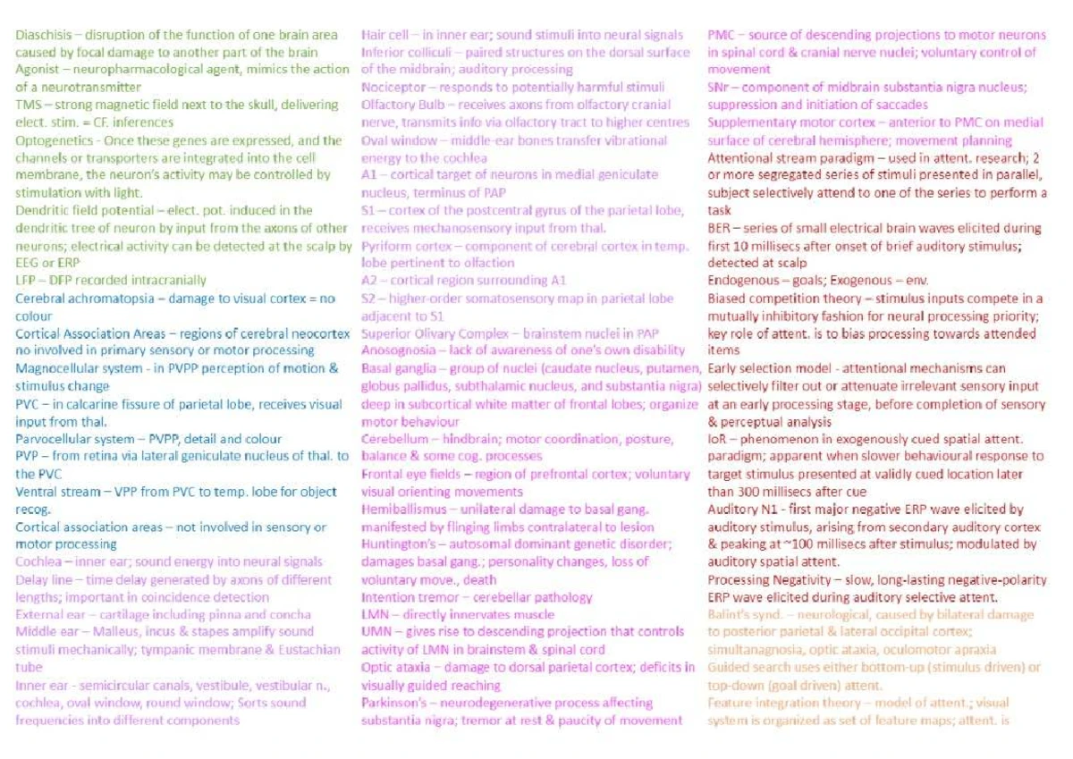 COGS2000 Final Exam Cheat Sheet on Brain Function & Auditory Processing ...