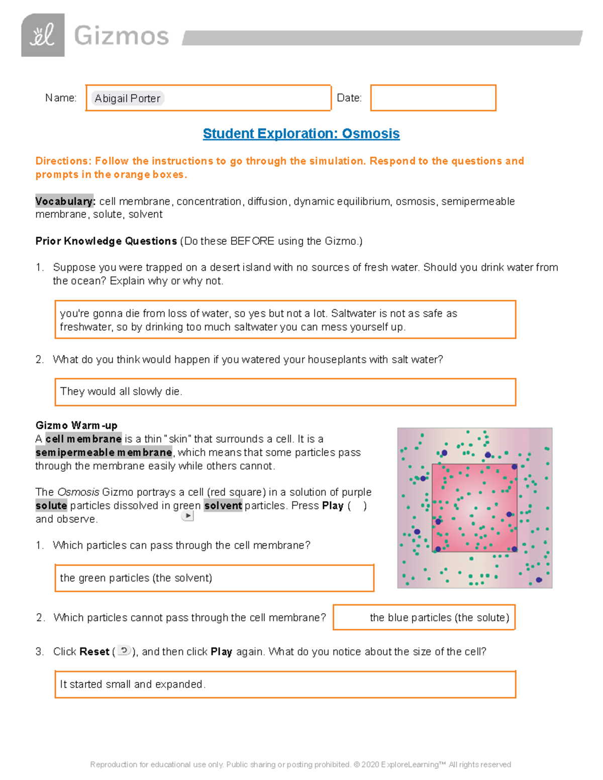 Student Exploration: Osmosis SE Gizmo Answer Key - Name: Abigail Porter ...