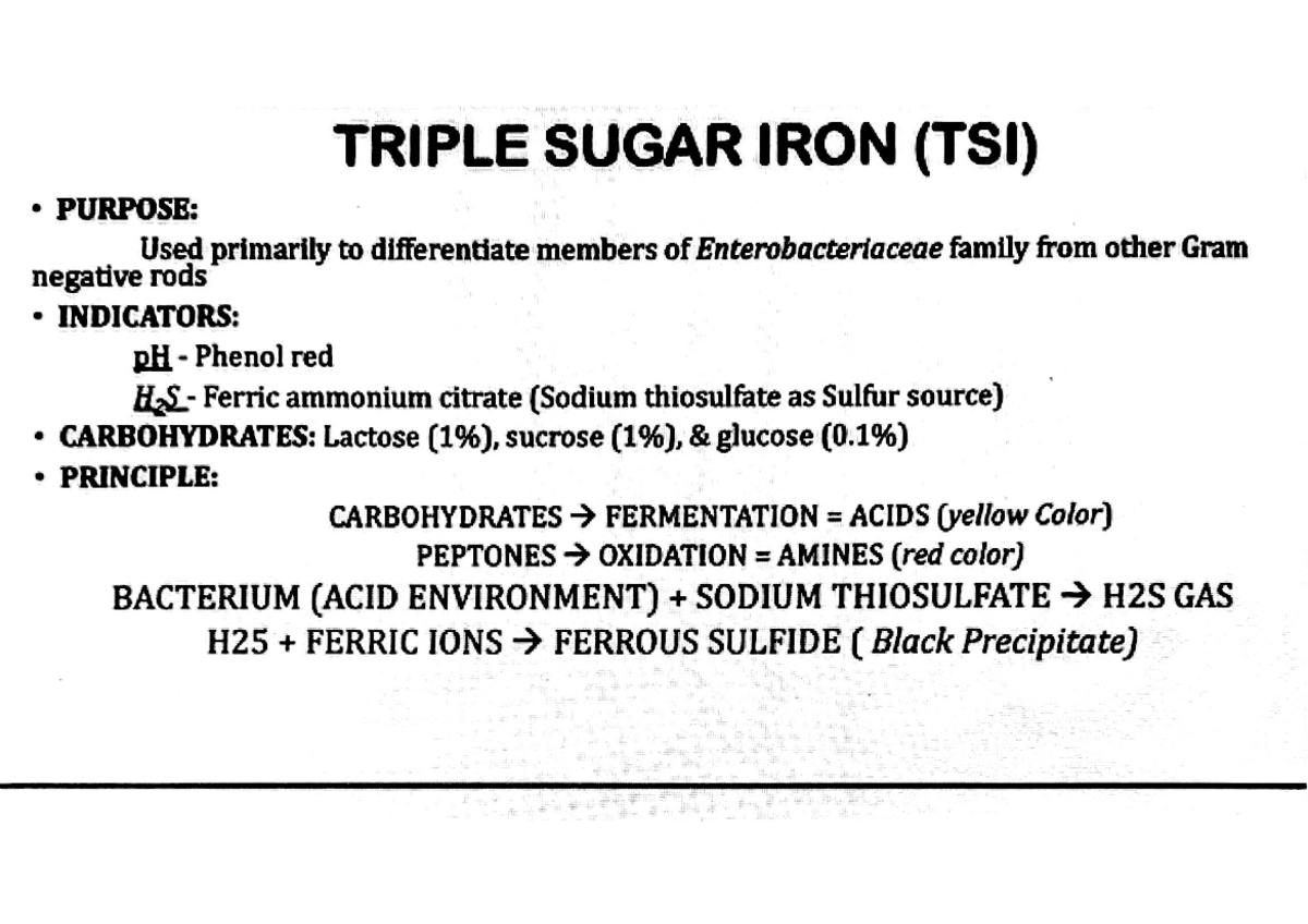 Biochem Neg: TSI, LIA, and Indole Test Overview - Studocu