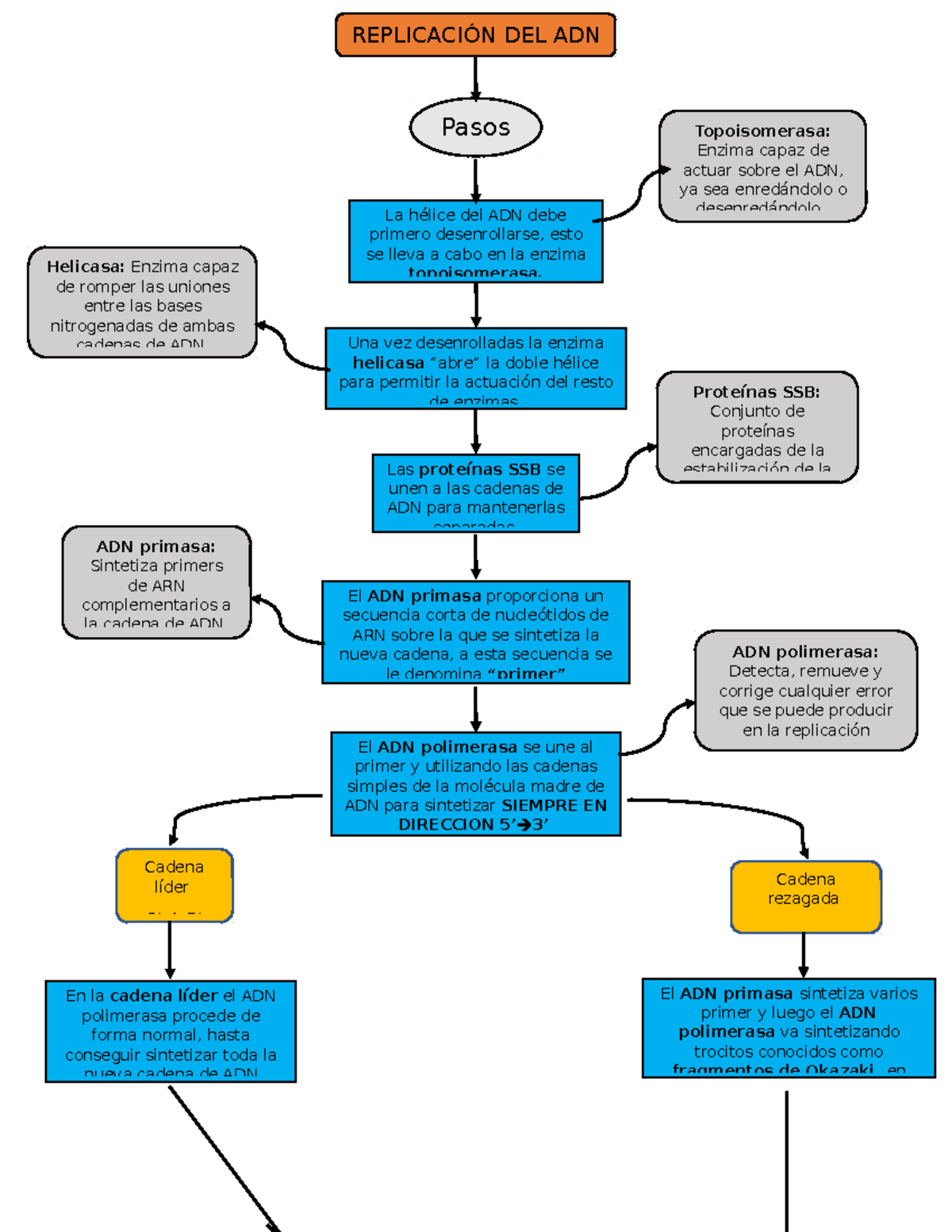 Biología Del Diagrama De Proteínas