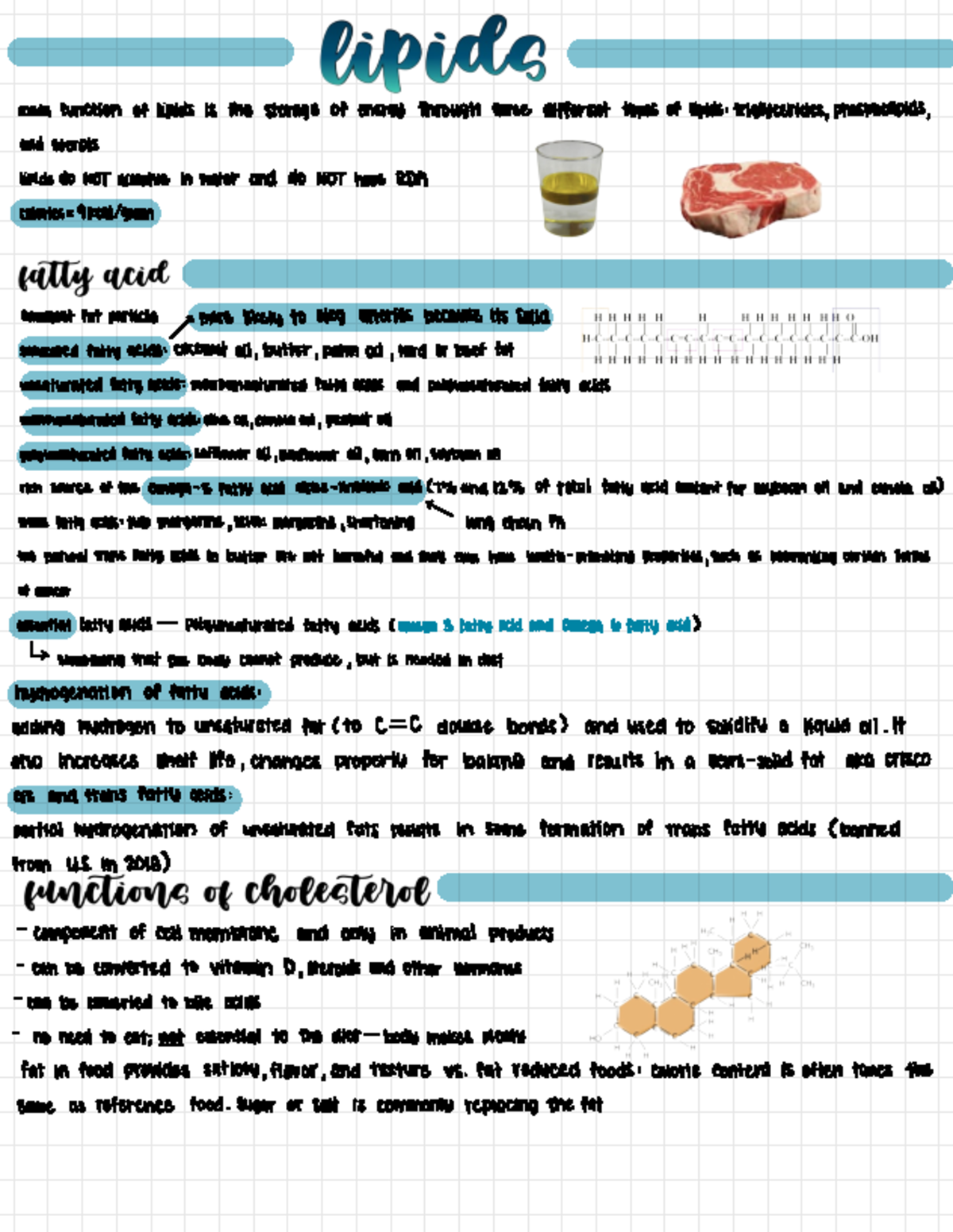 Human Nutrition: Understanding Lipids and Their Functions - Studocu