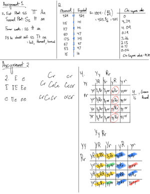 Check Companion 2 - IFC exam practice paper - - Studocu