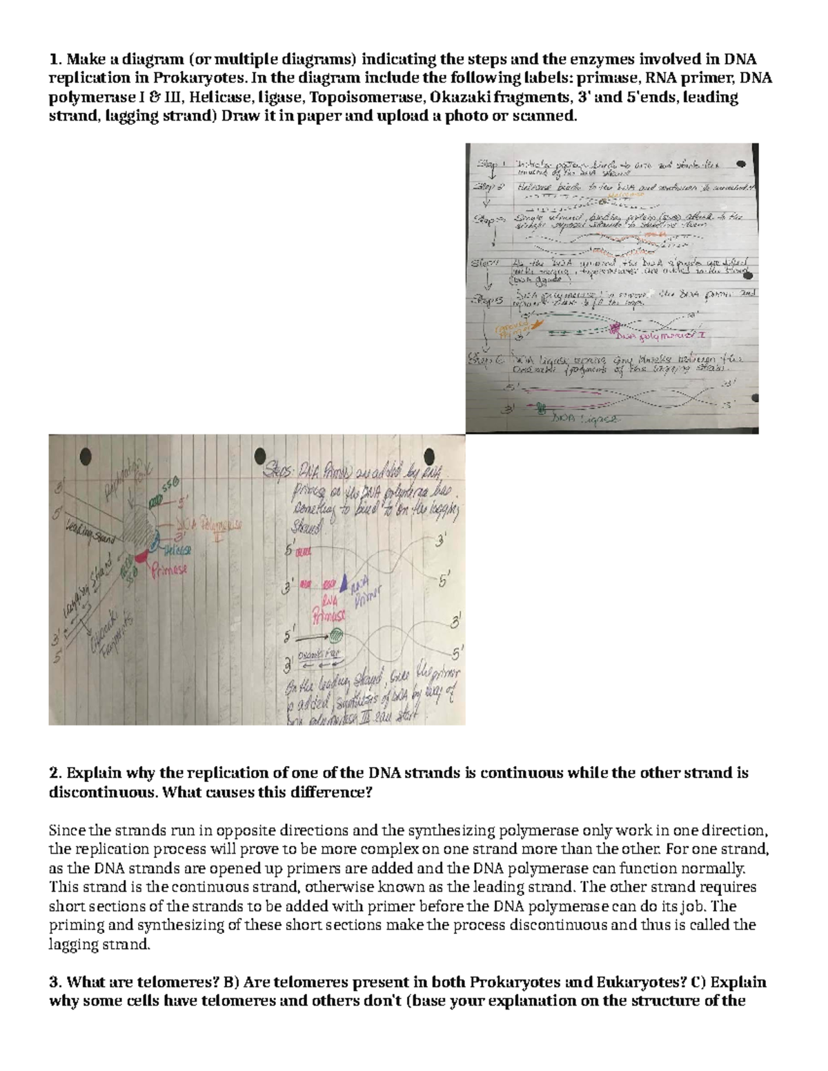 Discussion 4 - Assessment on DNA Replication and Cell Division ...
