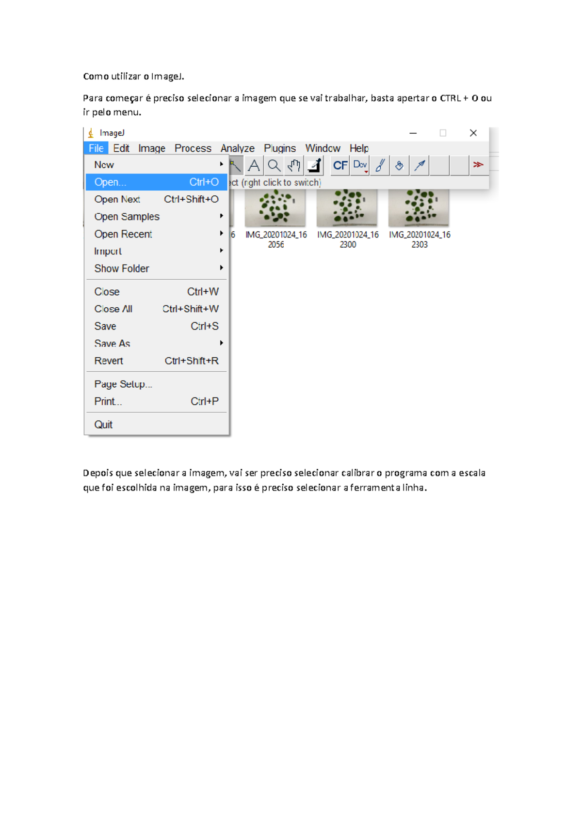 Tutorial ImageJ: Guia Prático para Calibração e Edição de Imagens - Studocu