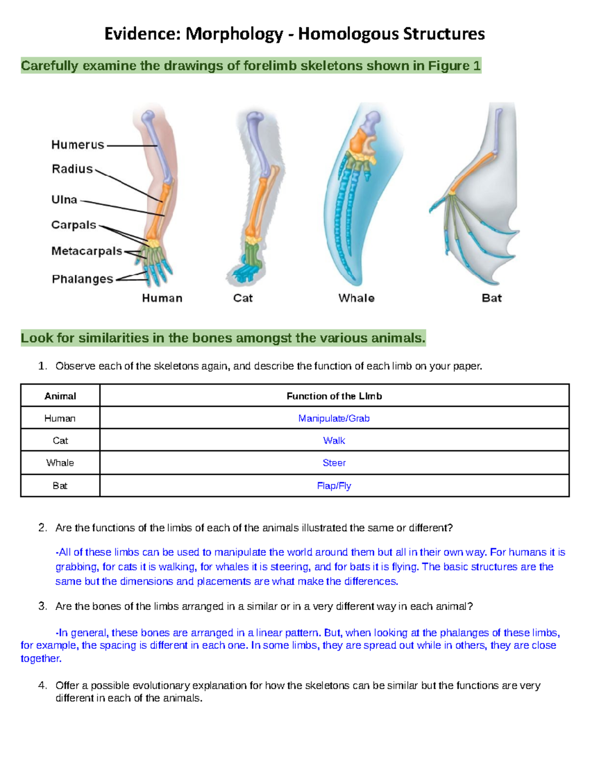 Evidence Of Evolution Practice - Evidence: Morphology - Homologous ...