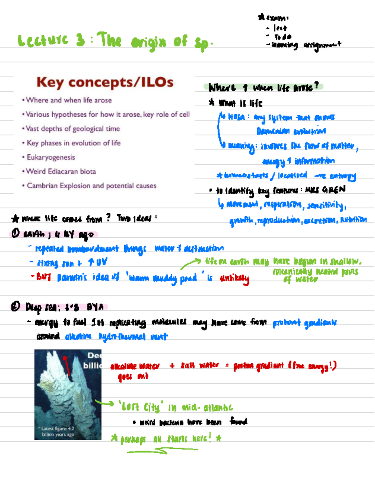 Genes, Evolution, Development - exam : 127 90 do Lecture 3 : The origin ...