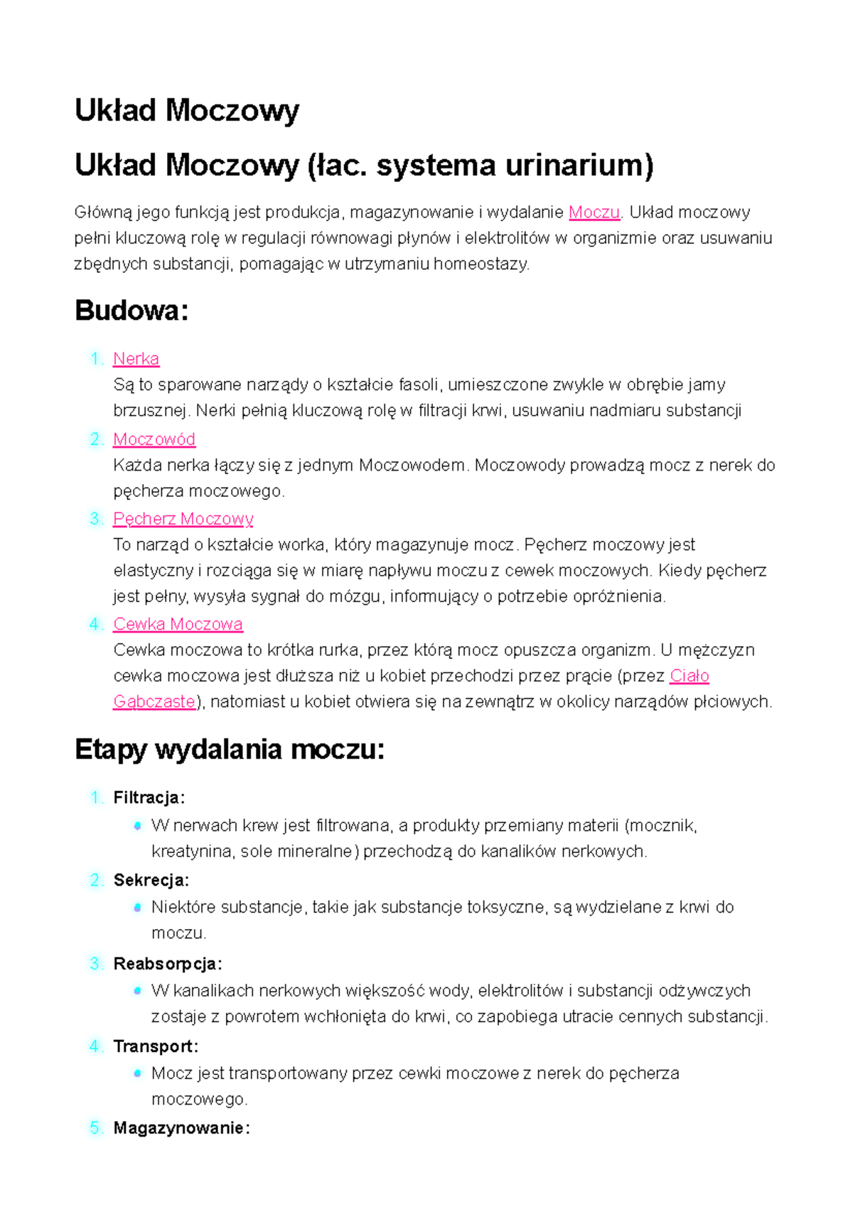 Anatomia Układu Moczowego - Kluczowe Elementy i Funkcje - Studocu
