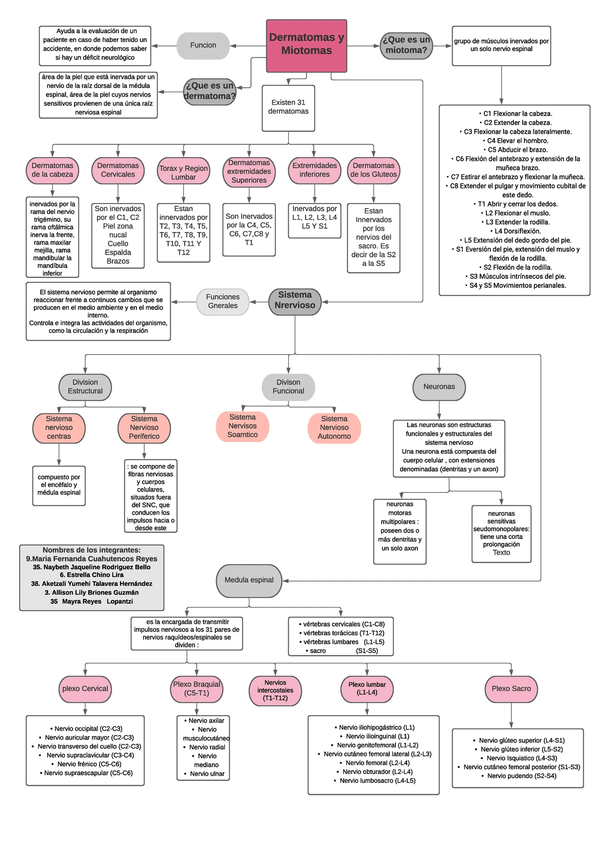 Entamoeba Hartmanni - ENTAMOEBA HARTMANNI Entamoeba hartmanni es una ...