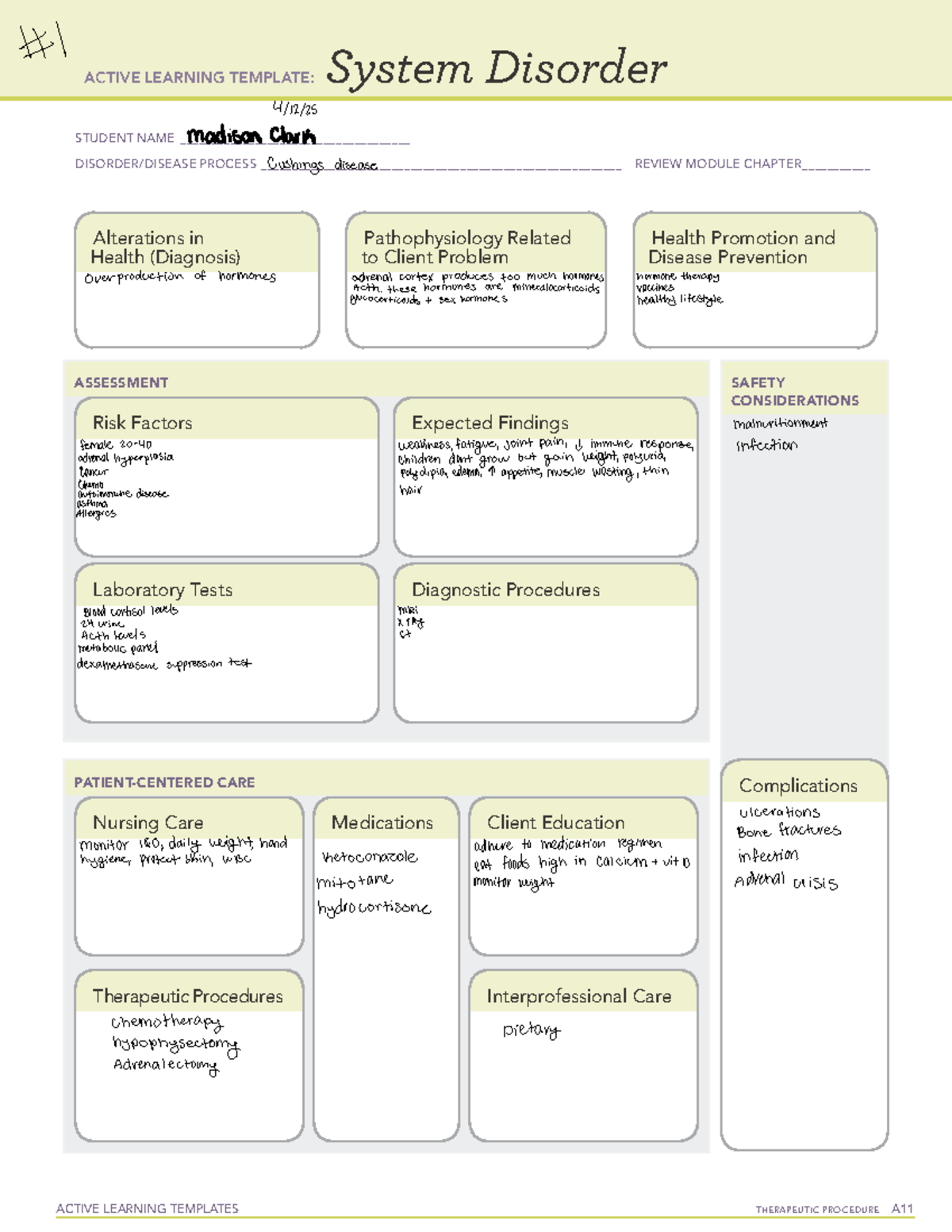 Active learning template: System disorder and health alterations (PEDS ...