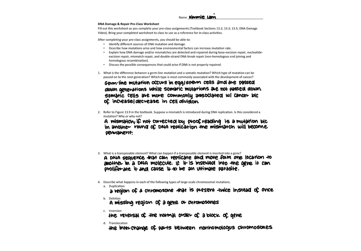 Bio 7A Pre-Class Worksheet: Translation & Mutations Review - Studocu