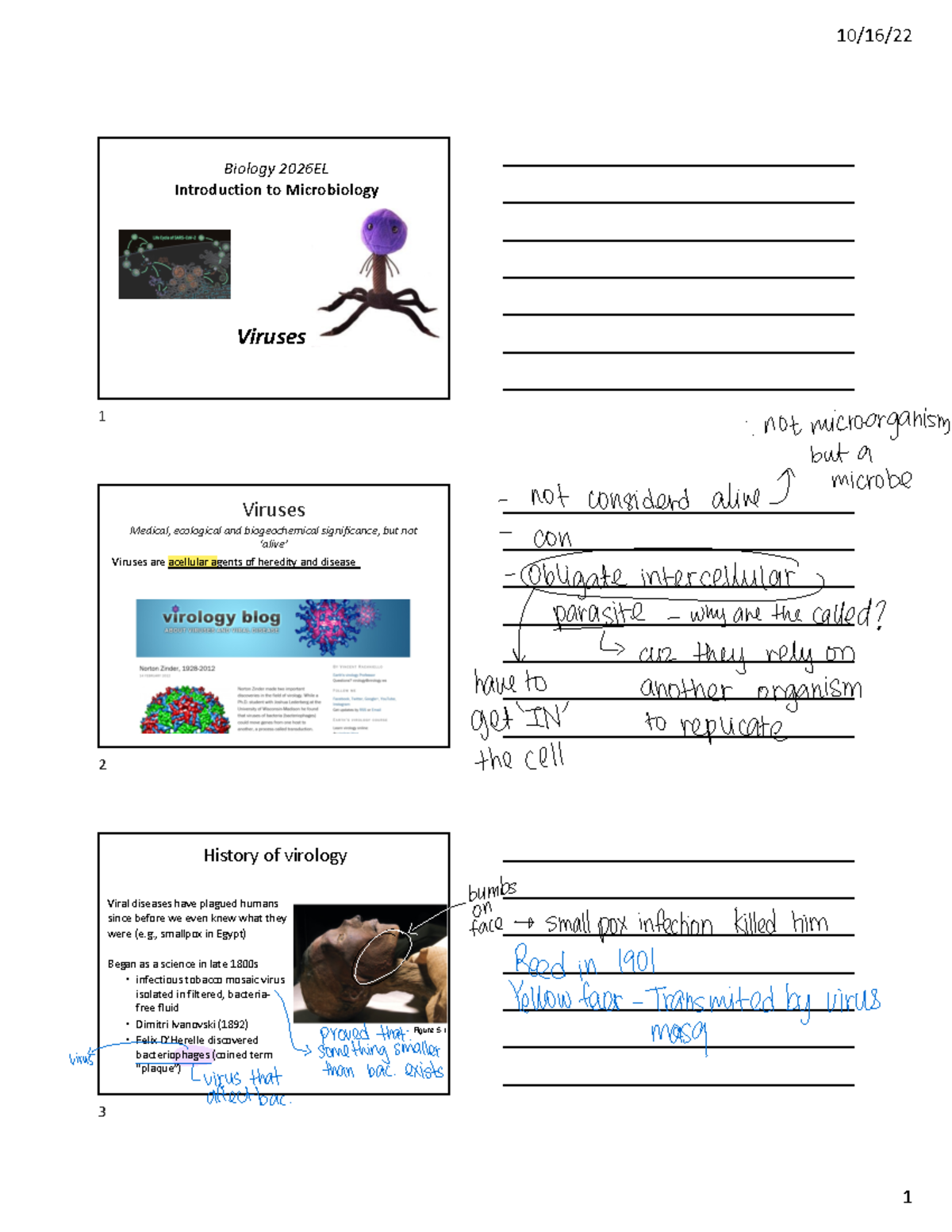Lecture 6 -Viruses - chp notes - Biology 2026EL Introduction to ...