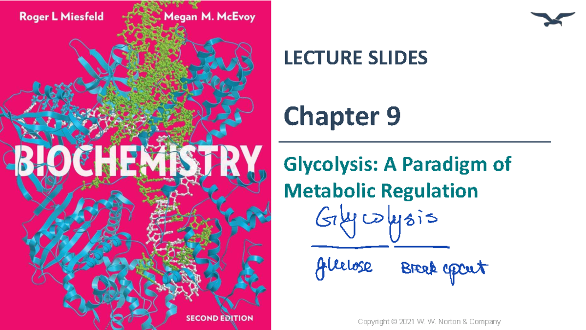 BIOC2300 Lecture Slides: Chapter 9 - Glycolysis & Metabolic Regulation ...