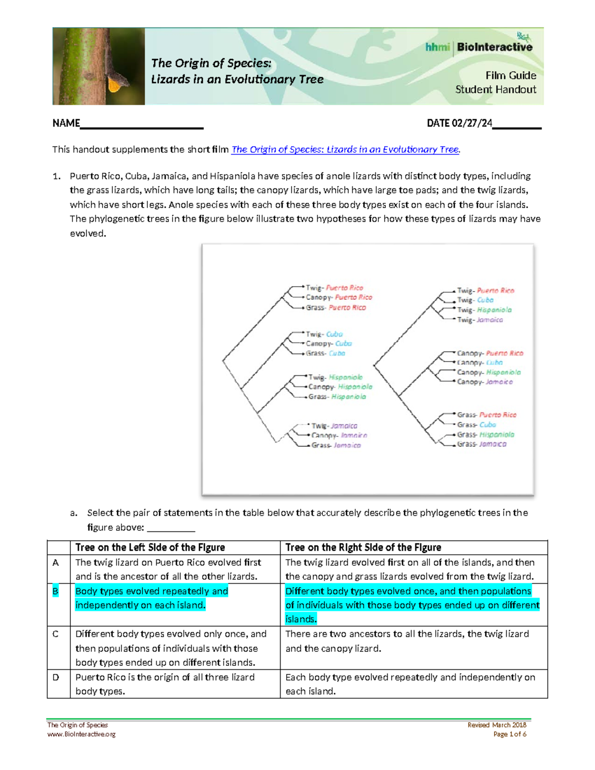 Lizards Evolutionary Tree HHMI Answers - The Origin of Species Revised ...