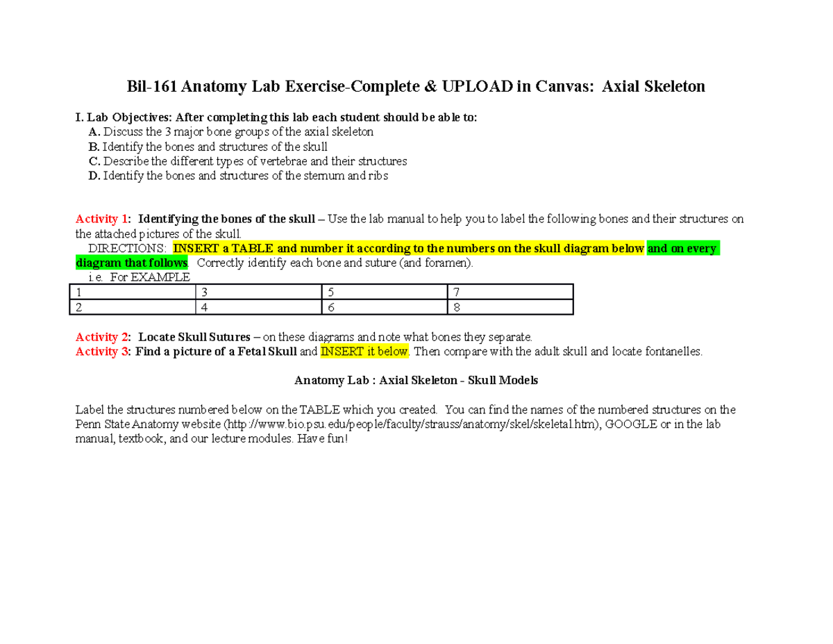 Axial Skeleton Worksheet - Bil-161 Anatomy Lab Exercise-Complete ...