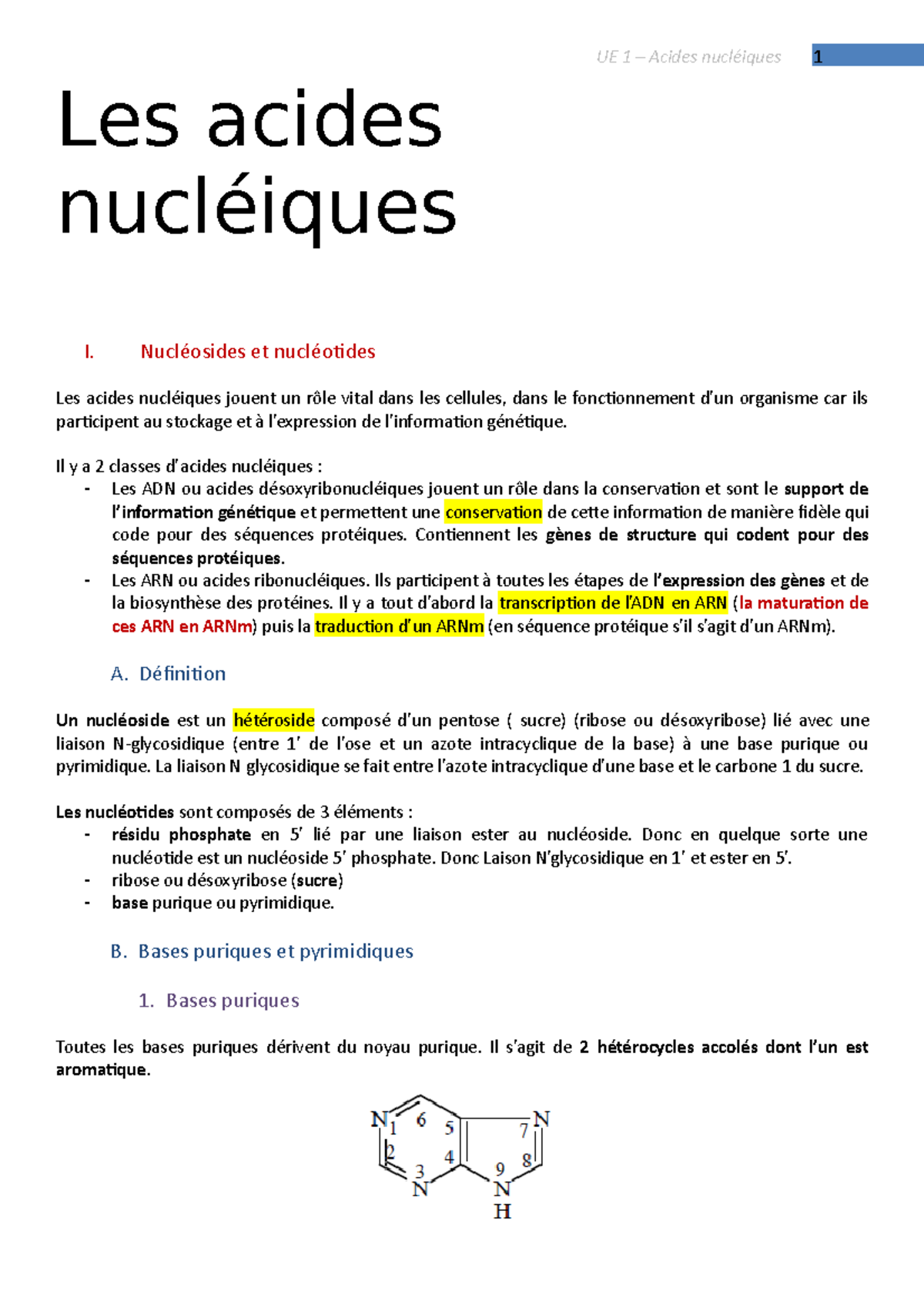 Structure des Acides Nucléiques : ADN et ARN - Cours HL112 - Studocu