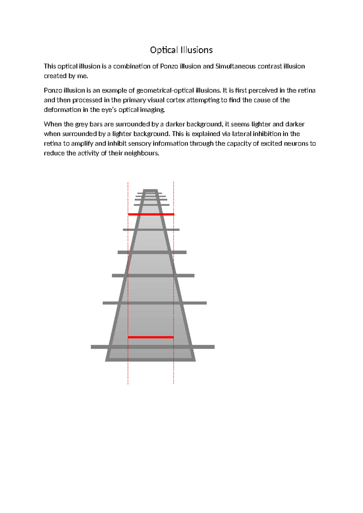 Optical Illusions - assignment - Optical Illusions This optical ...