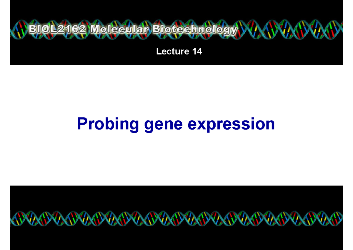 Lecture 14: Gene Expression Measurement Techniques and GFP - Studocu