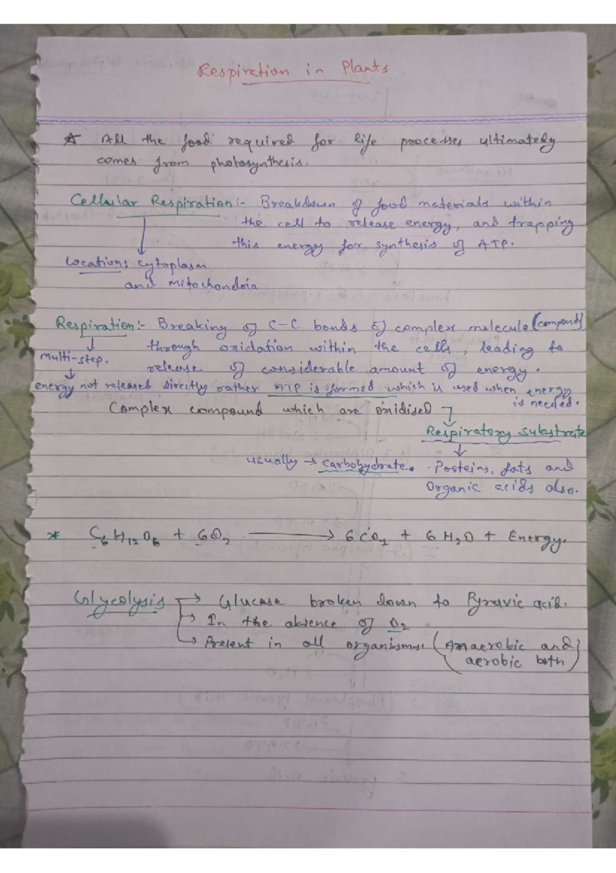 Respiration in Plants: Short Notes on Cellular Processes and Energy ...