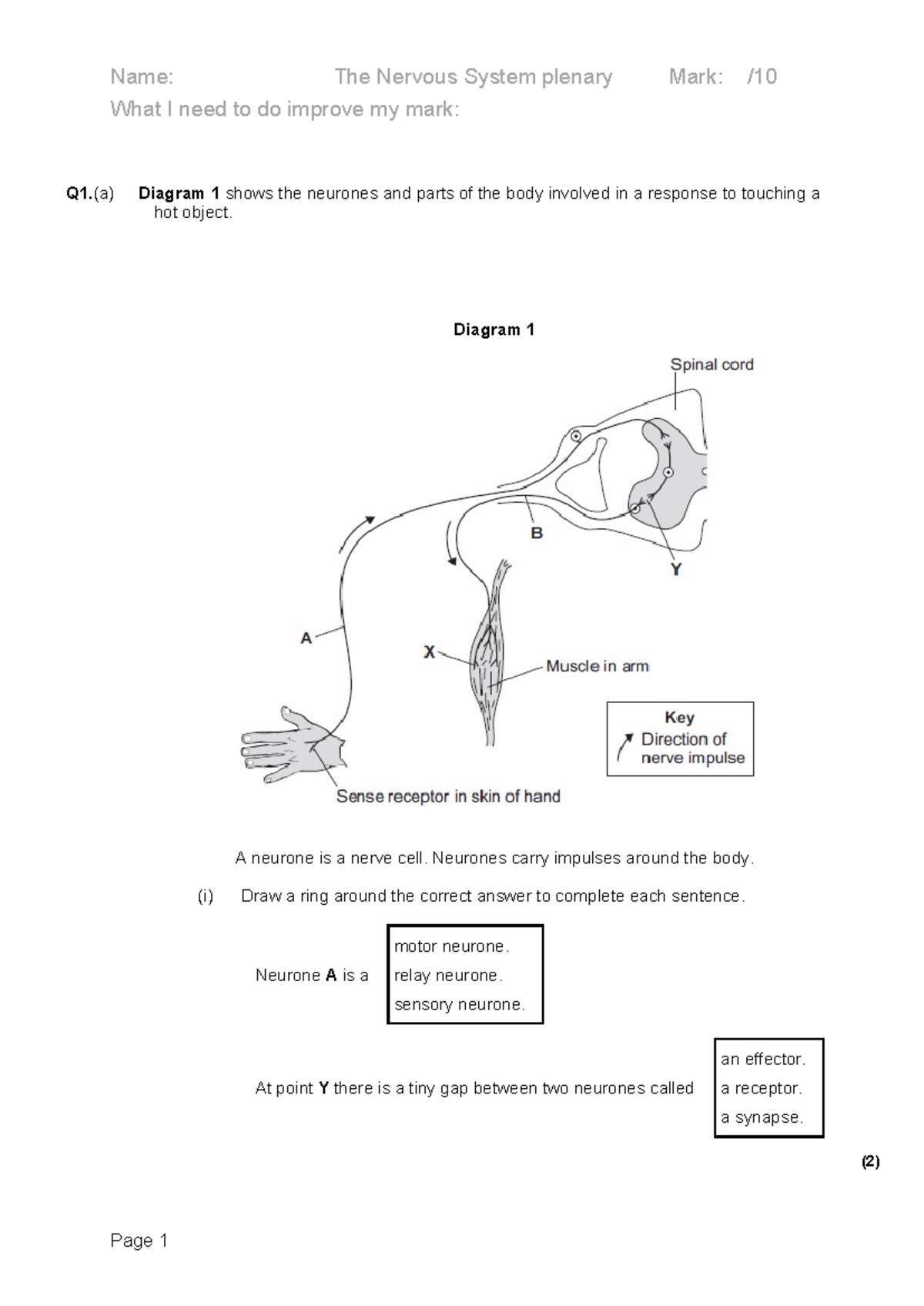 The Nervous System Plenary Exam Questions (Biology 101) - Studocu