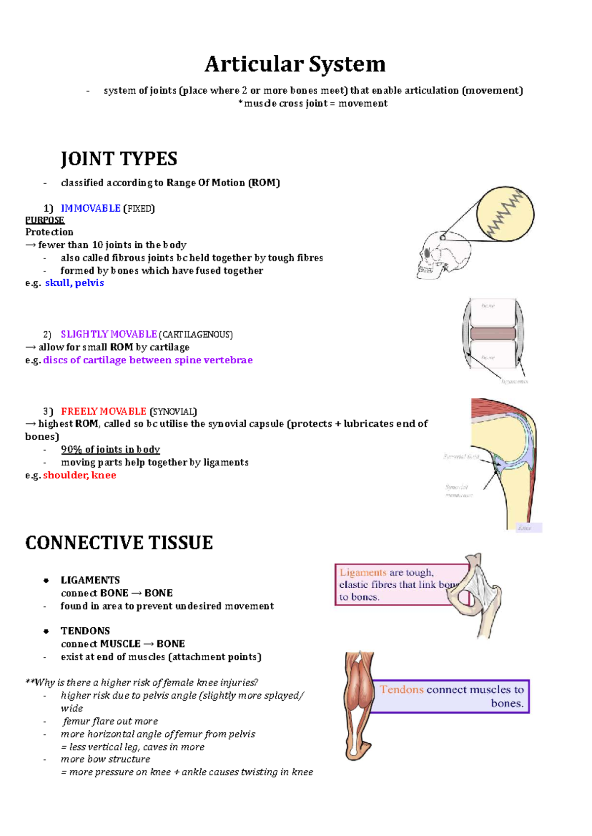 EXS1 Anat&Phys a (T) 2026 Joint Types and Articular System Overview ...
