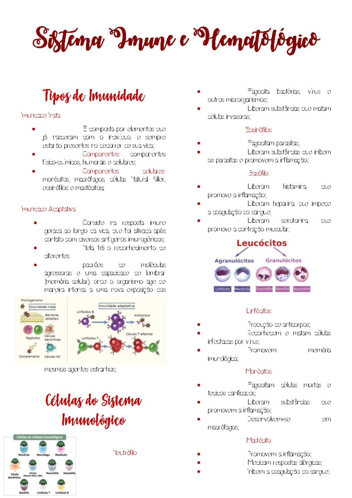 Resumo do Sistema Imune e Hematológico: Funções e Respostas Imunes ...