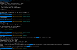 D197 - Version Control PA - D197 - Version Control Template Step A Screenshot Below is a ...
