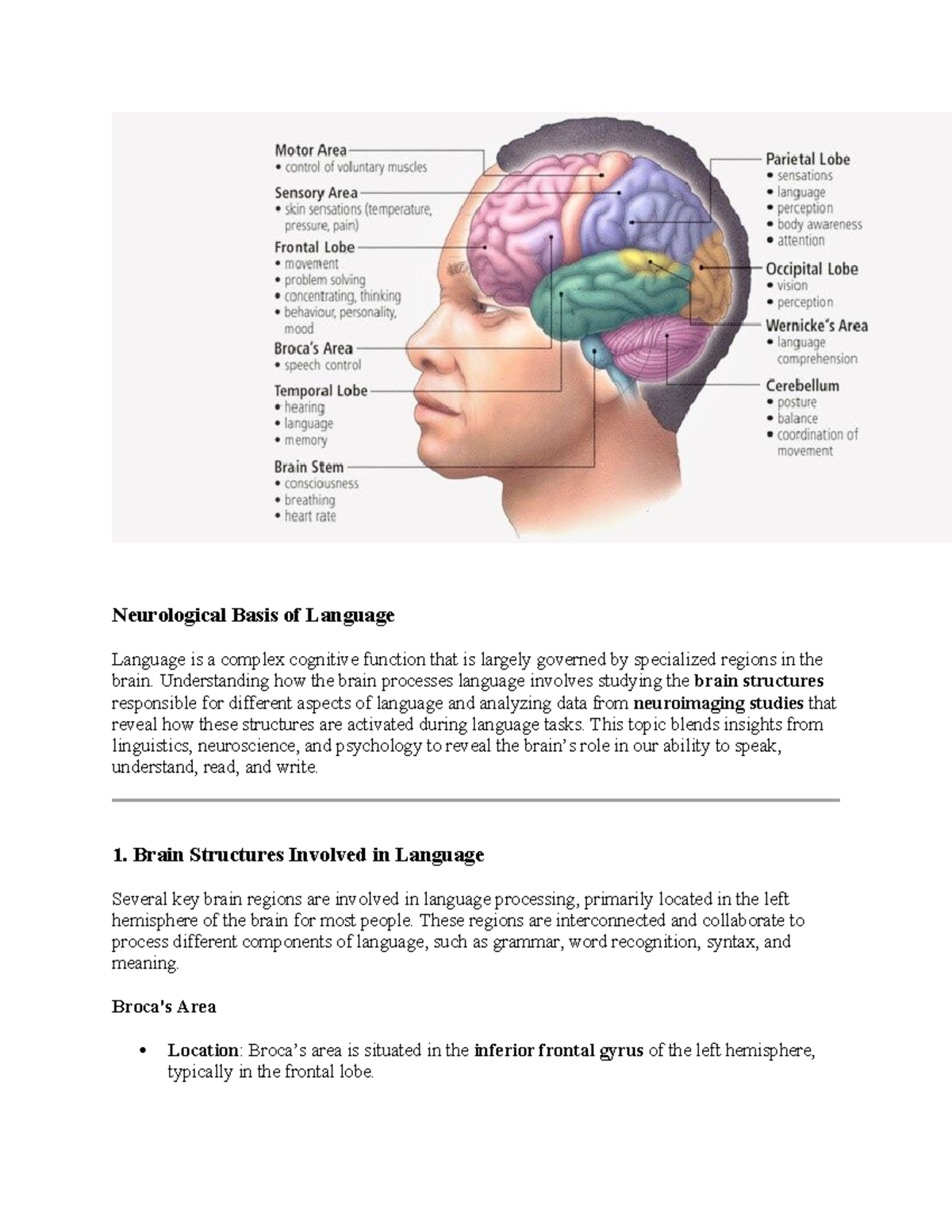 Psychology of Language - Neurological Basis of Language Language is a ...