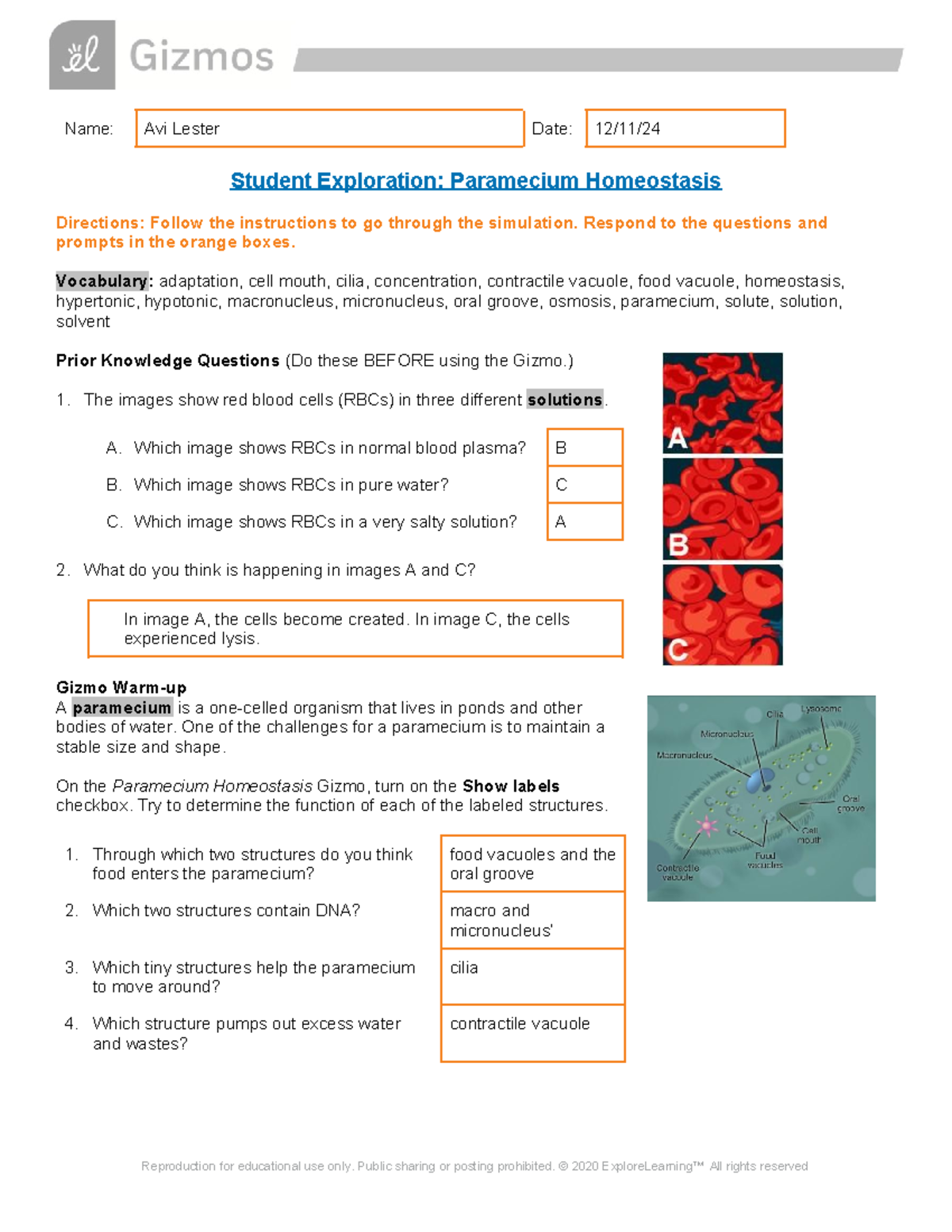 Gizmo - Understanding Paramecium Homeostasis through Simulation - Studocu