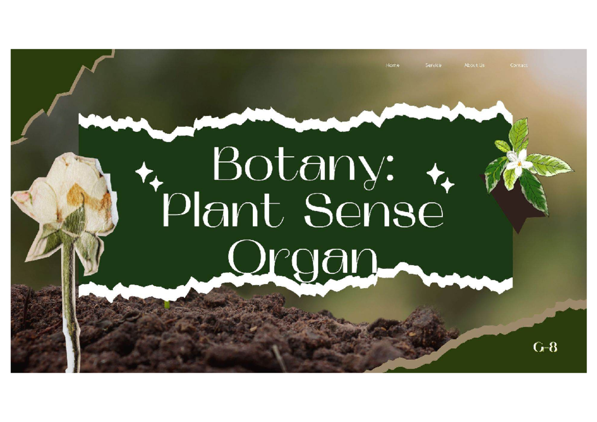 Botany 1853968288231402631: Plant Sense Organs and Feedback Mechanisms ...