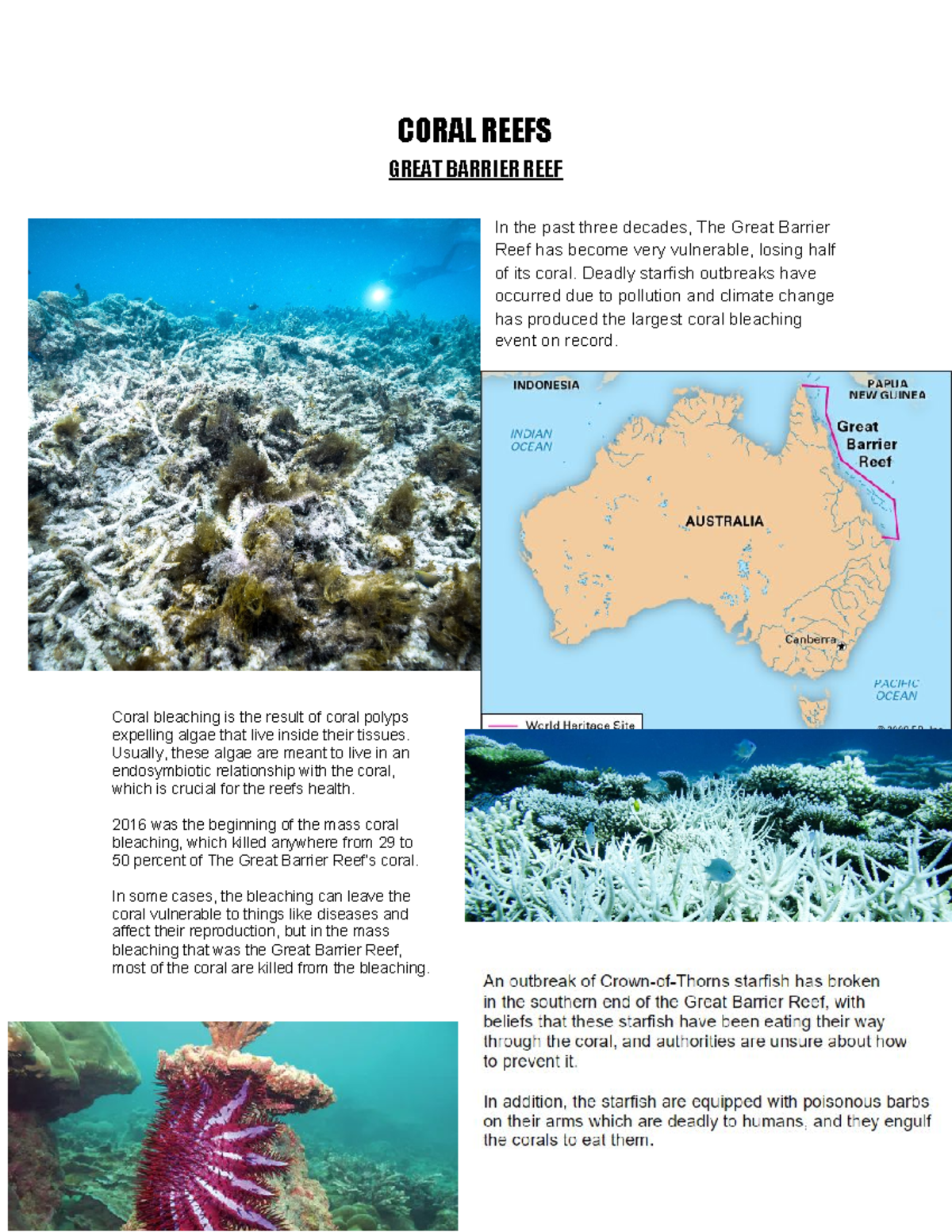 Geography Assessment - GREAT BARRIER REEF In the past three decades ...
