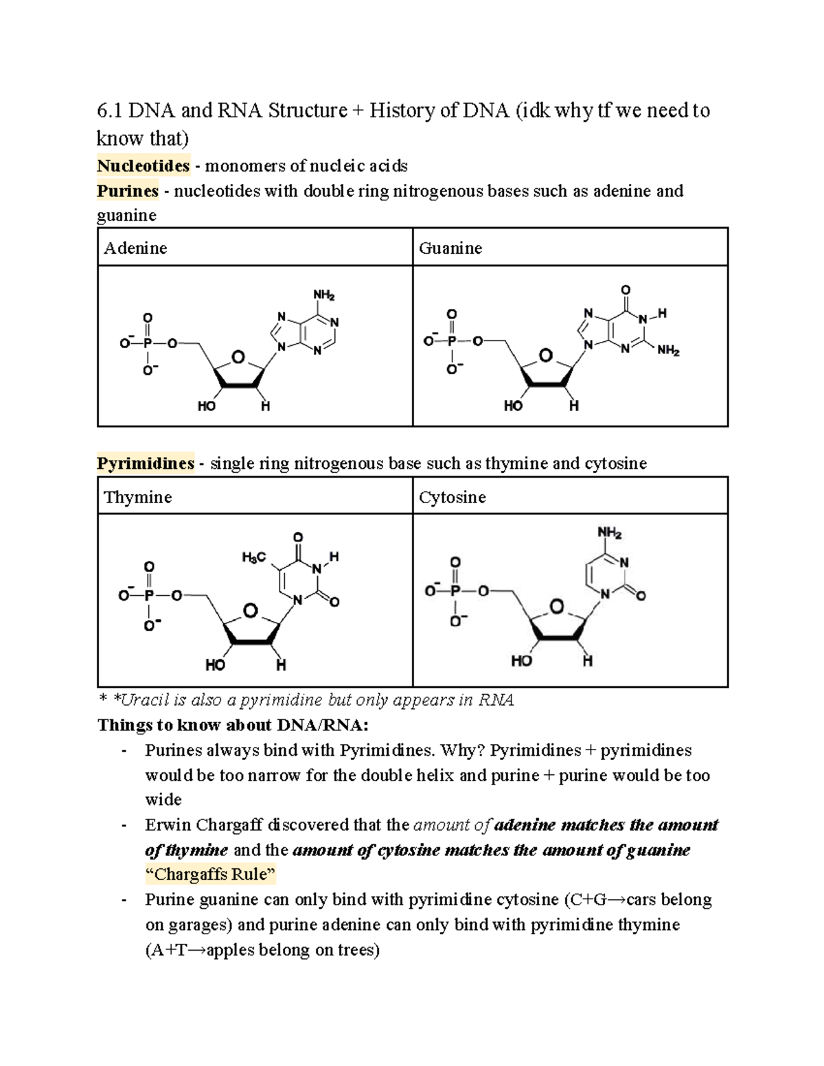 Unit 6A AP Bio Review Notes: DNA, RNA, and Protein Synthesis - Studocu